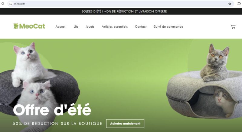 Meocat.sav@gmail.com | 5 signalements | 10 commentaires