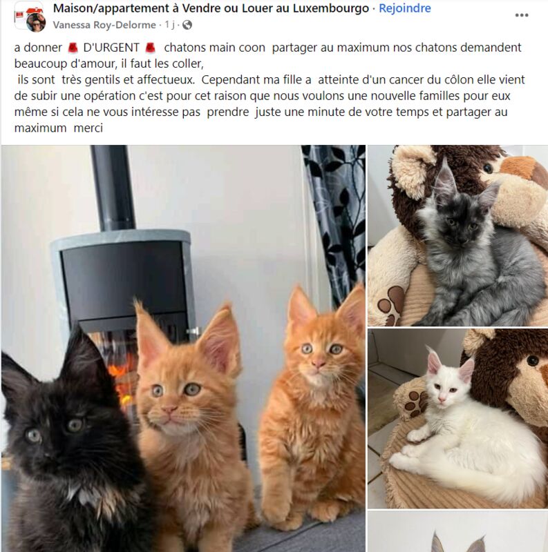 Facebook.com | Vanessa Roy-Delorme | 1 signalement